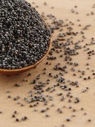 What's under the microscope?: Poppy seeds