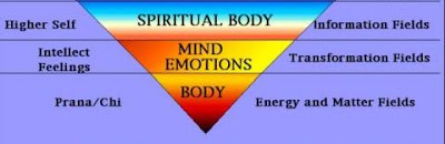 Enriching Health: Energy Therapies