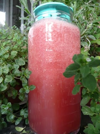 The Spooky Vegan: Watermelon Lemonade Agua Fresca