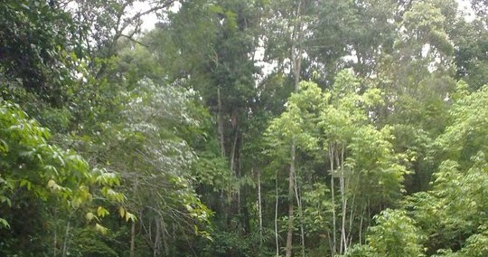 Best Places in the Philippines: Epol Waterfalls,Marilog District,Davao ...