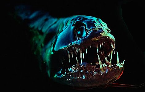 The Presurfer: Monsters From The Abyss