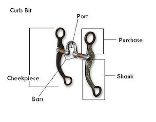 Foundation Reining Training Centre: Bits - Snaffle & Curb