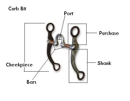 Foundation Reining Training Centre: Bits - Snaffle & Curb