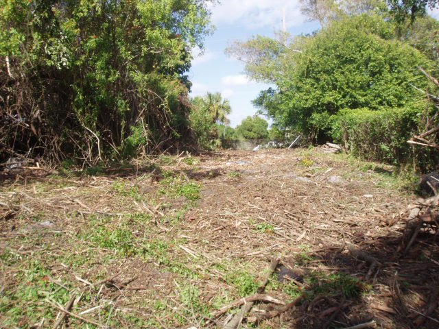Save Boca Raton Green Space: Environmentally Sensitive Land Cleared in ...