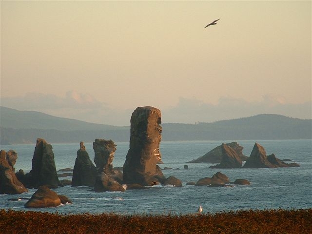 Mrs. Sanders' Language Arts: Fuca's Pillar