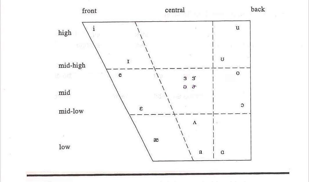 Fun with Phonemes: Vowel Quadrilateral