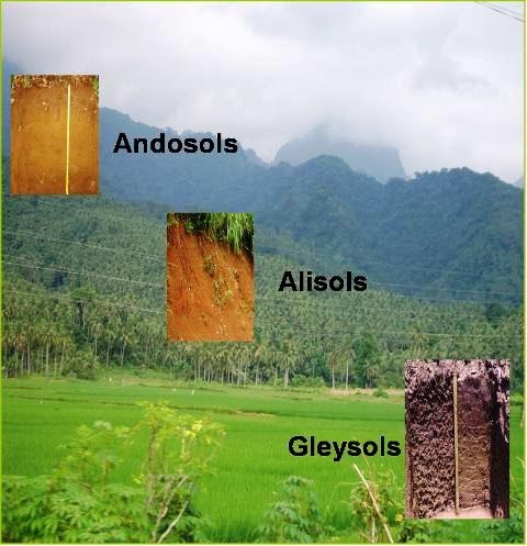 Soil and Environment: Soil distribution in the Philippines