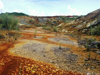 Soil and Environment: Heavy metal pollution and nutrient deficiency ...