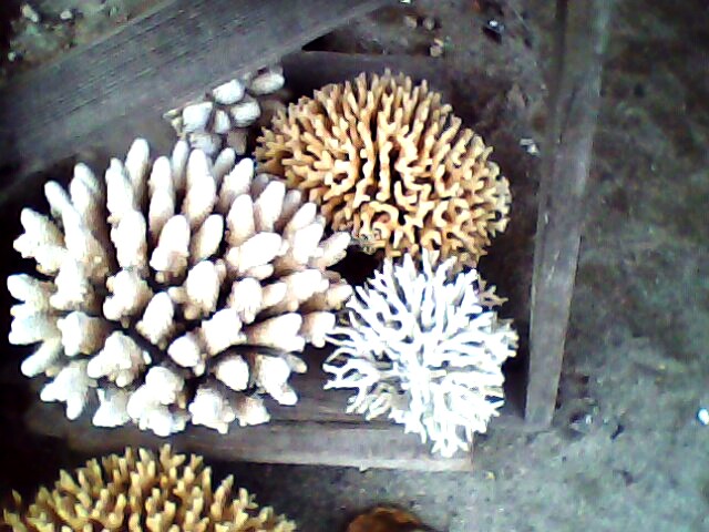 BandilyoEV: Sulangan Island, Guiuan Eastern Samar