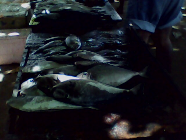 BandilyoEV: Sulangan Island, Guiuan Eastern Samar