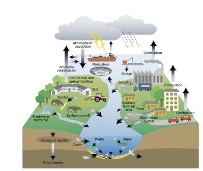 scienceallthetime: Effects of Water Pollution