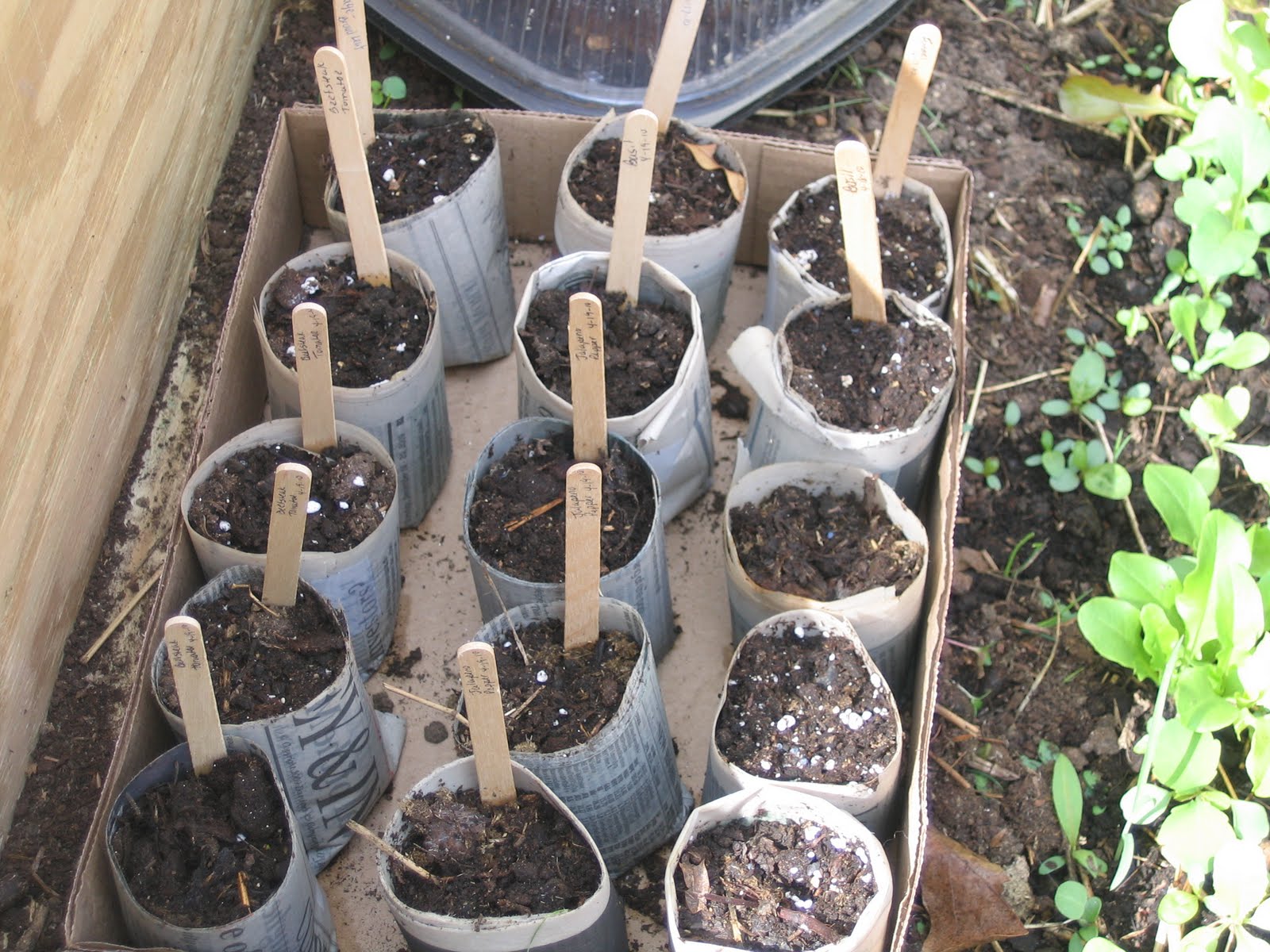 Coon Hollow Farm: A Cool Invention--it makes Plant Pots