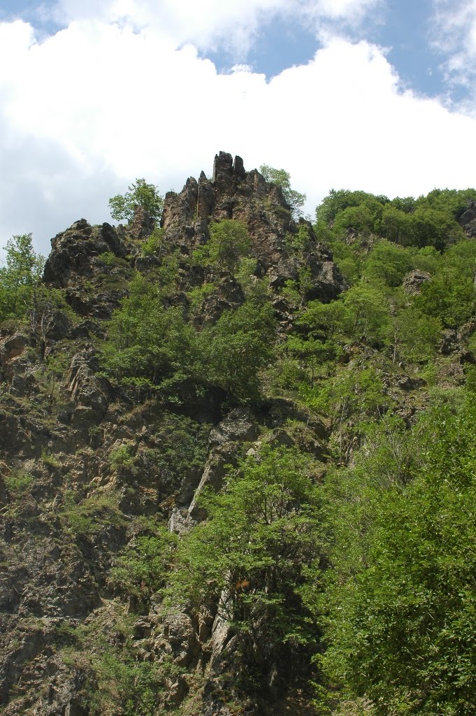 За Македонија и за другите нешта: Патување низ Македонија - Радика