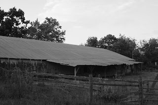 Hillbilly Savants: Red Eyes and Virginia's "Wild Men"