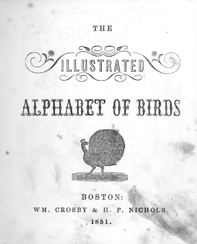 Letterology: The Illustrated Alphabet of Birds