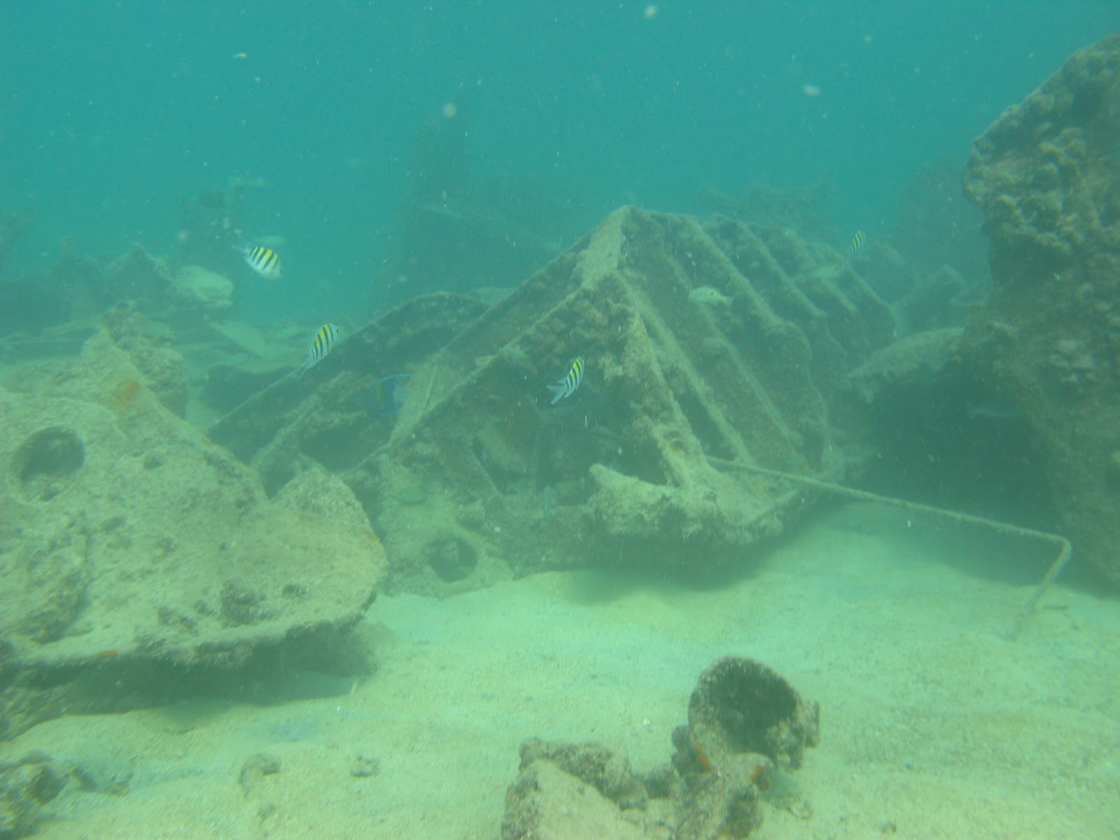 .: Wreck of a feared 18th century French pirate ship found off Plymouth