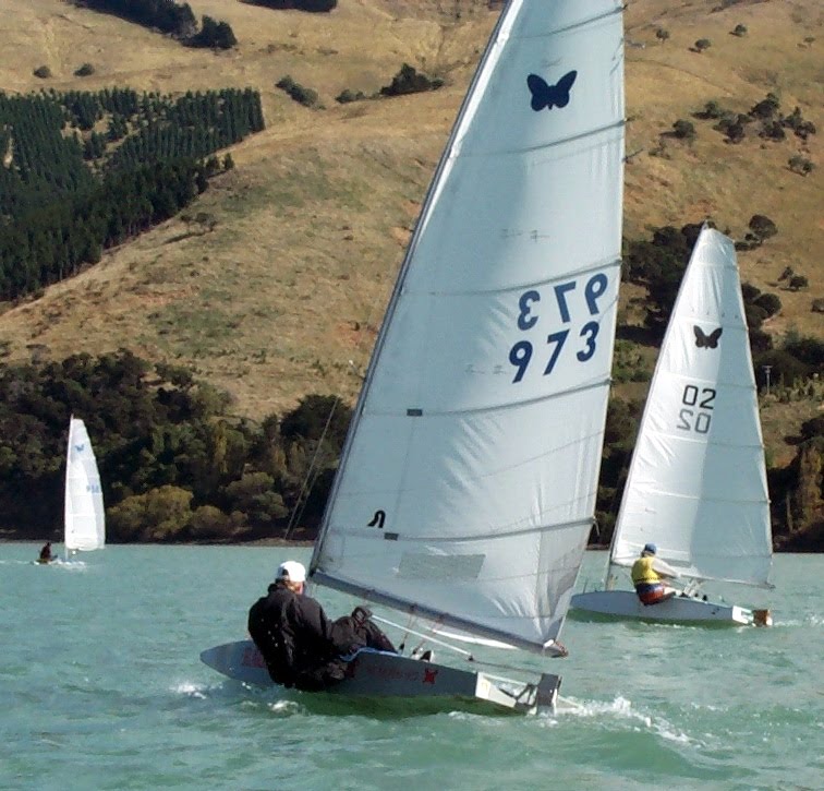 Earwigoagin: Scow Moth Update; November 2009