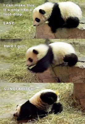 The Random Melly Button Blog: Happy Monday Panda Lovers!