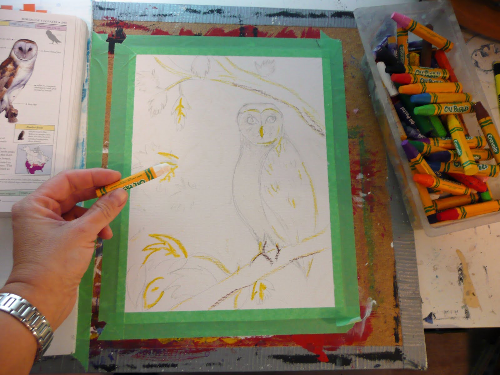 that artist woman: Owl Projects