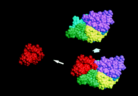 TODOPRODUCTIVIDAD: Simulación de procesos biológicos