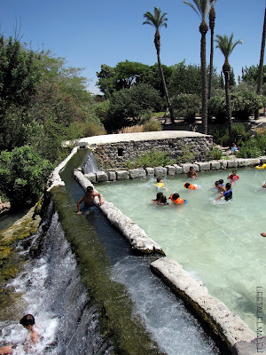 Israel Through My Eyes: Sachne Springs