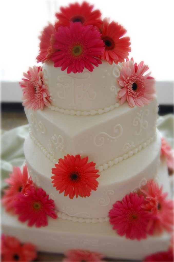 It's a piece of cake!: My Cakes