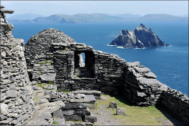 Willow: Waterville, Co. Kerry