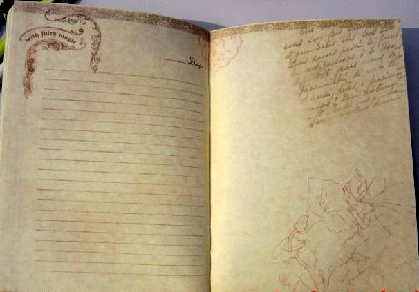 The Gift Collage: Classic 100 Days Diary *SOLD OUT*