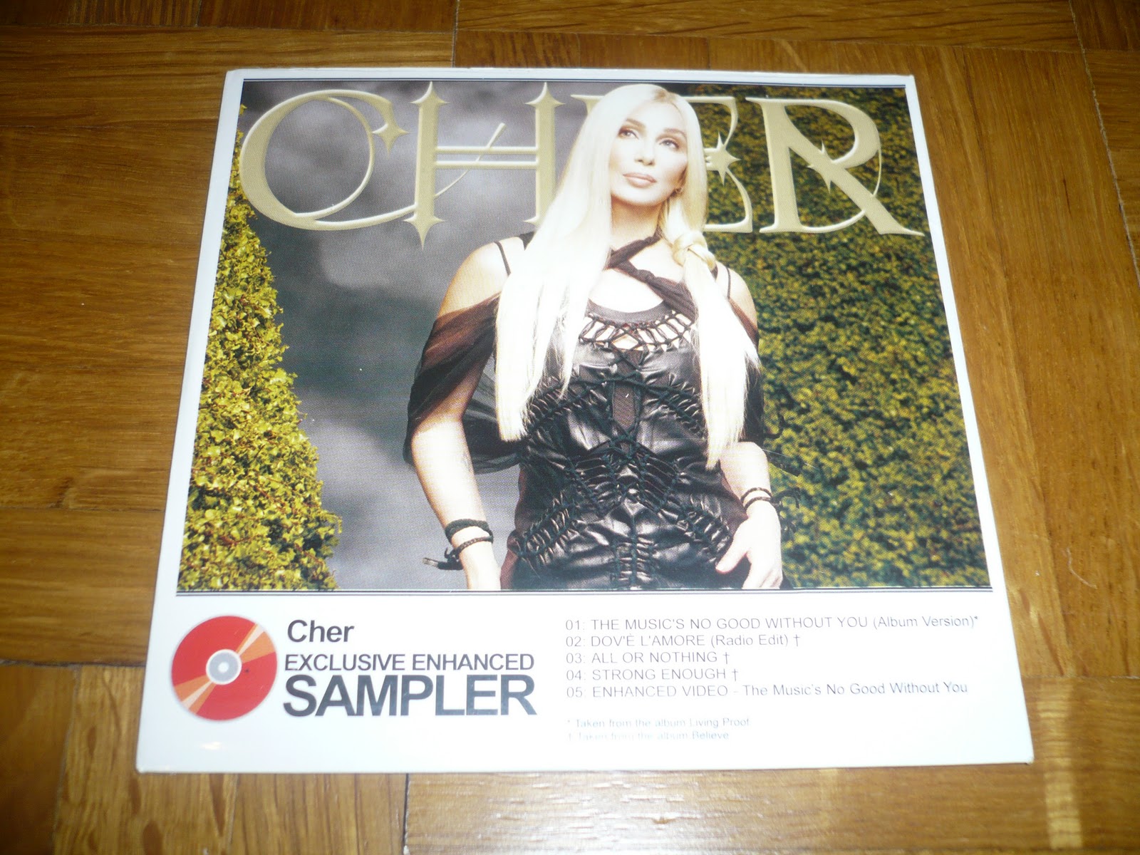 The Collector of Cher: My Cher CD Albums and Singles Part 10