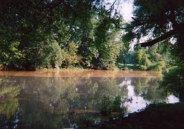 Gilroydad's Thoughts: Auglaize River Adventure