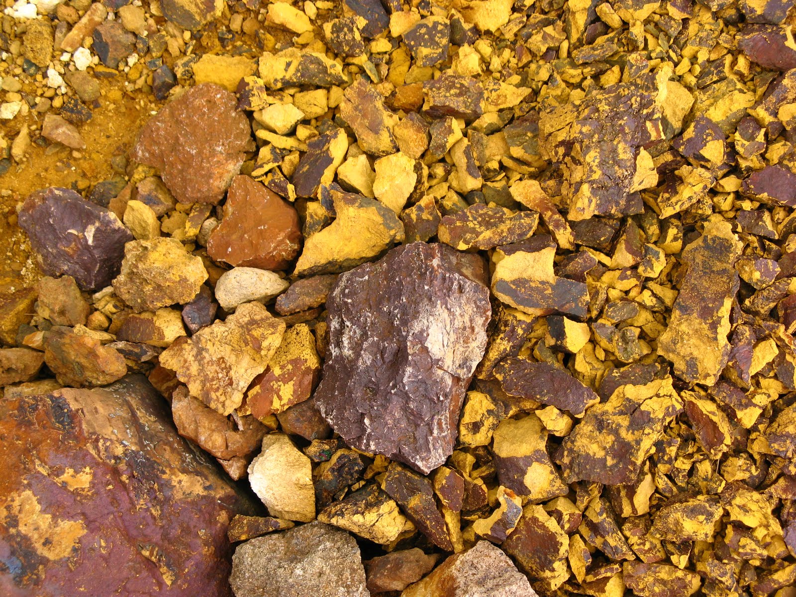 Cariera de sulf din Munţii Călimani: 1.8. SOLURI