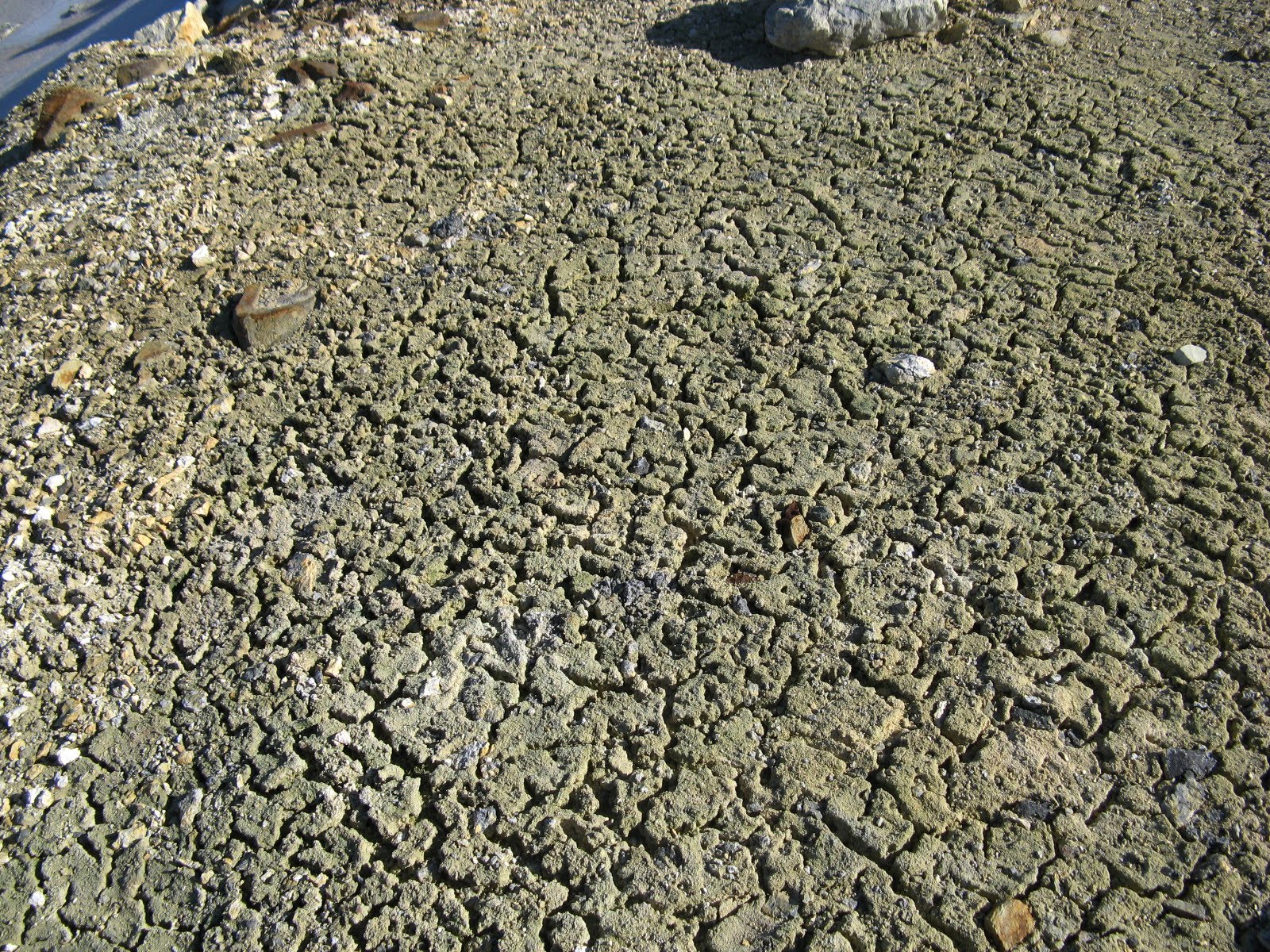 Cariera de sulf din Munţii Călimani: 1.8. SOLURI