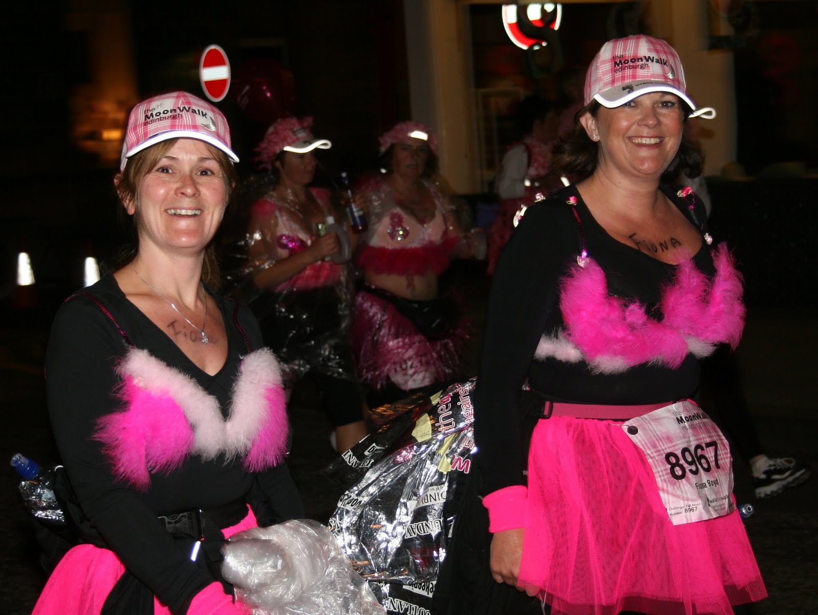 All in the life of me, budgie and friends: Edinburgh Moonwalk marathon ...