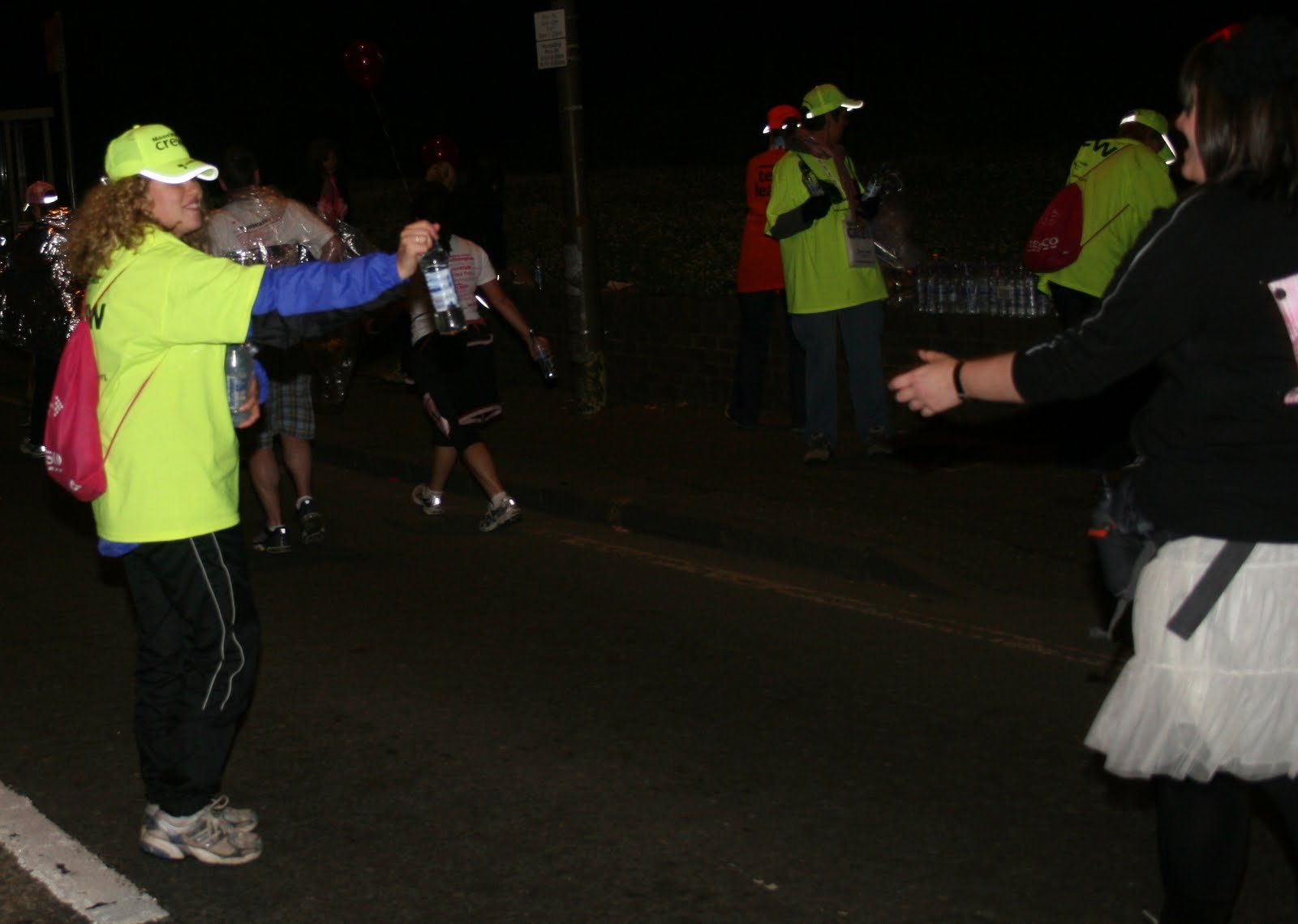 All in the life of me, budgie and friends: Edinburgh Moonwalk marathon ...