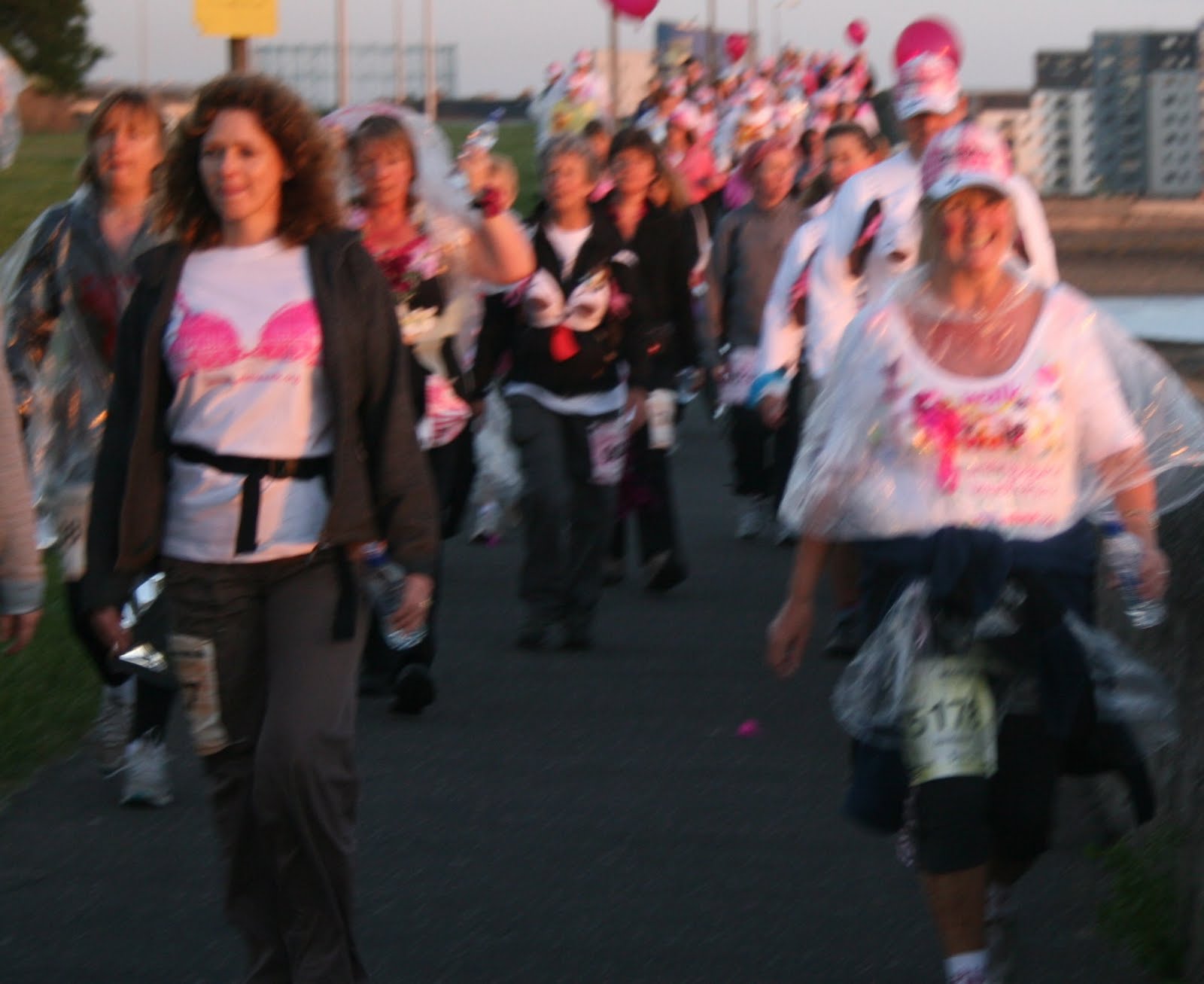 All in the life of me, budgie and friends: Edinburgh Moonwalk Marathon ...