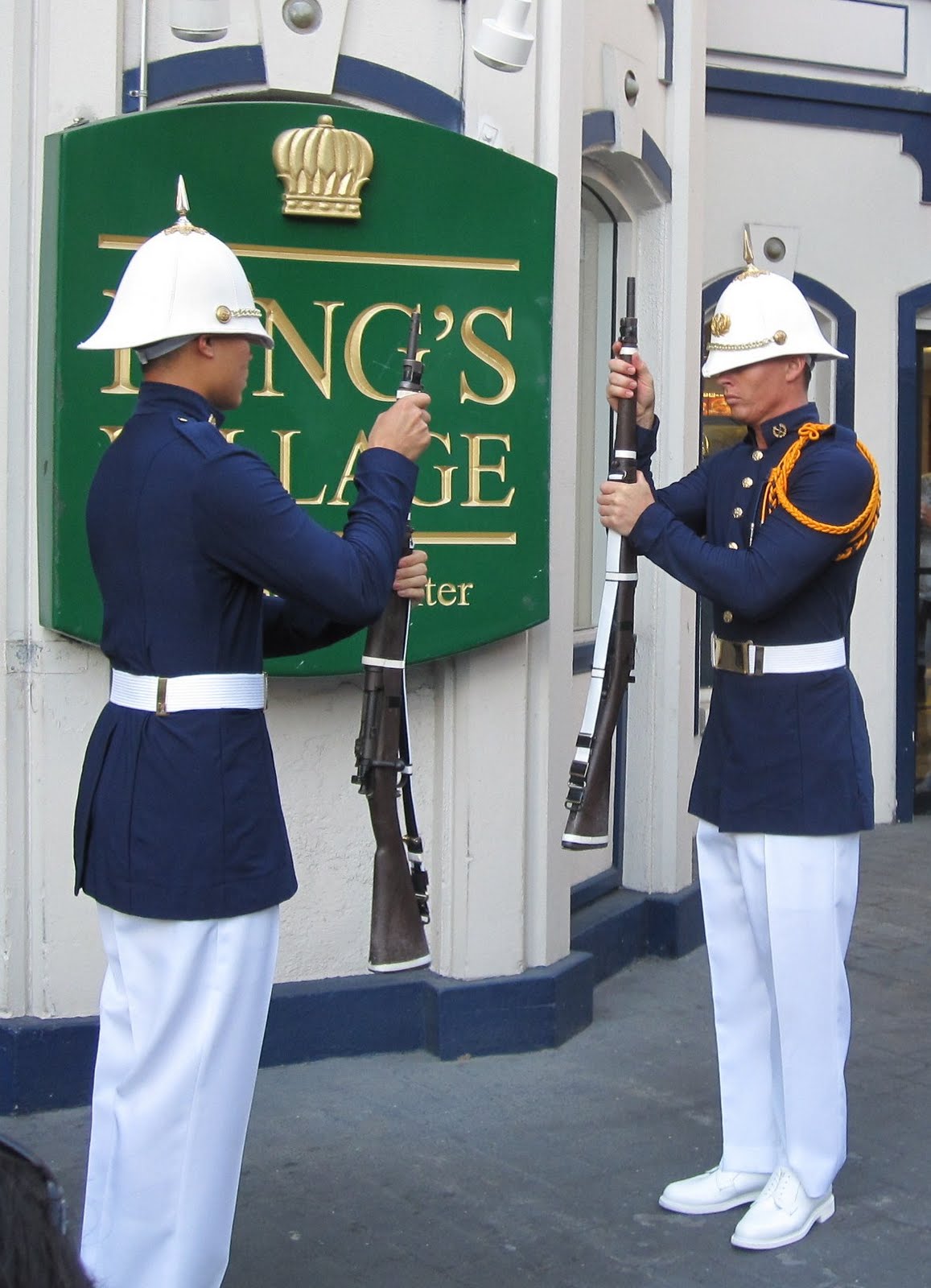 All in the life of me, budgie and friends: Hawaii - beach, kings guard ...