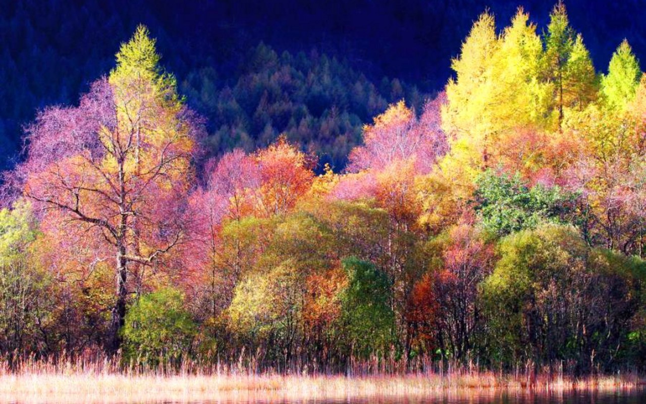 Peisaje superbe desktop