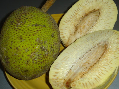 Yummilicious - The Food Blog: Fried Bread Fruit