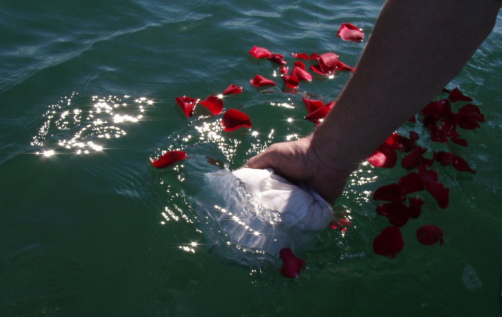 The Daily Undertaker, The Variety and Importance of Ritual