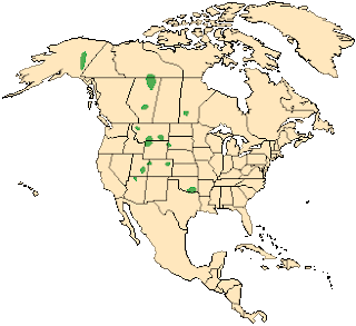 The American Bison: Where does The American Bison live?