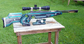 DaveG Custom Stocks: HW97 Field Target Stocks