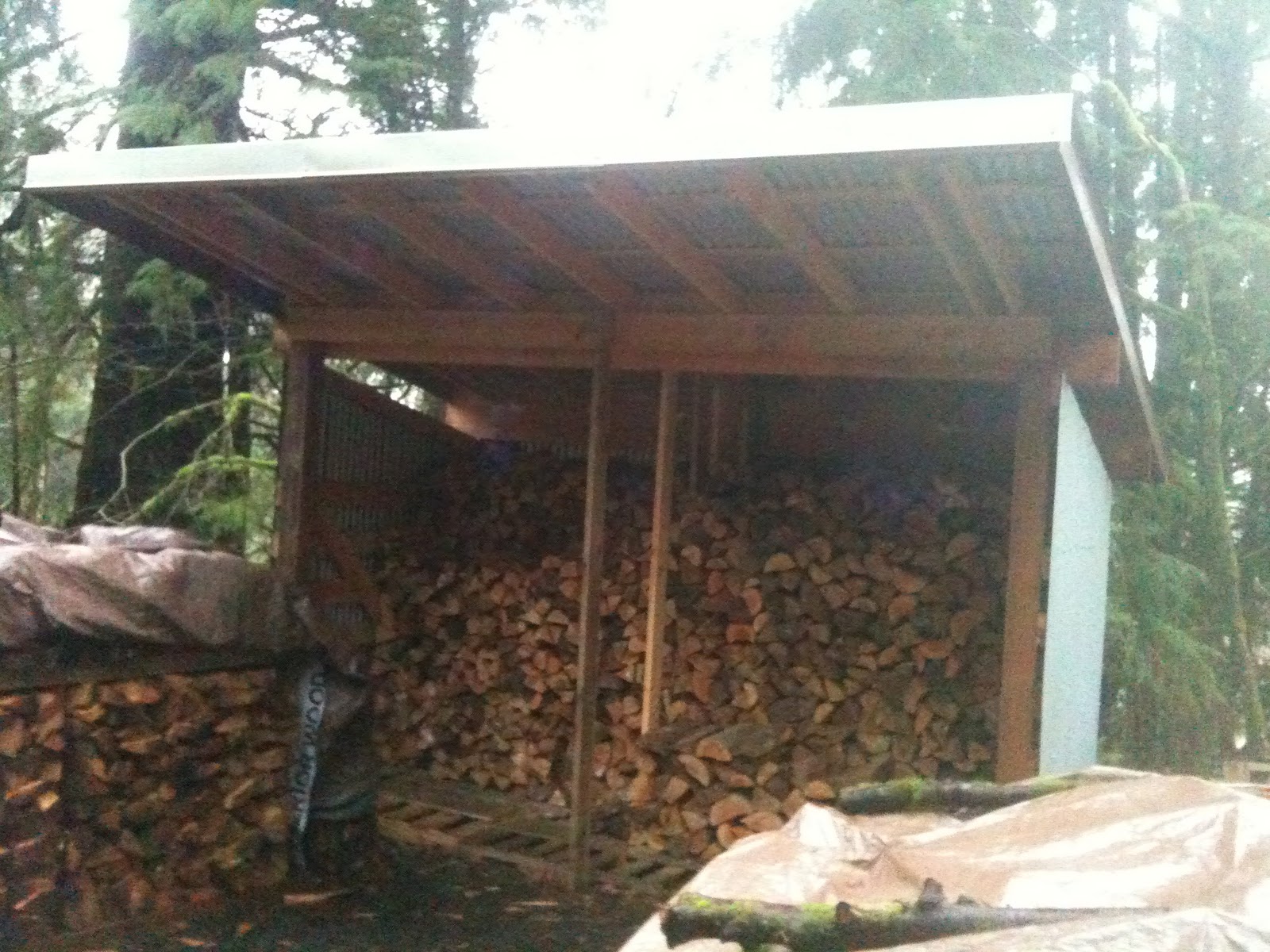 matteblack666: wood shed with chopping area