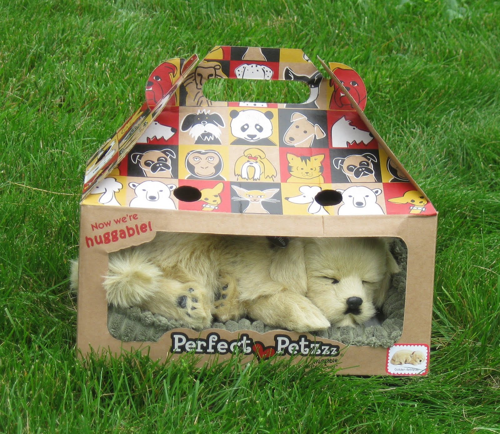 THE BEAUTY HIPPIE: Review: Perfect Petzzz Golden Retriever