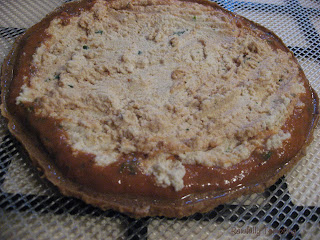 "Rawcotta" Cheese - Fermented