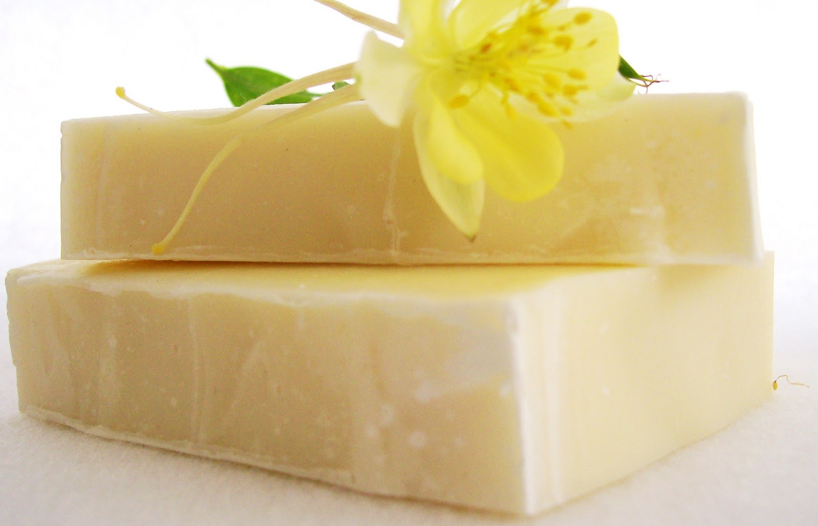 Spotted Hippo Soap Blog