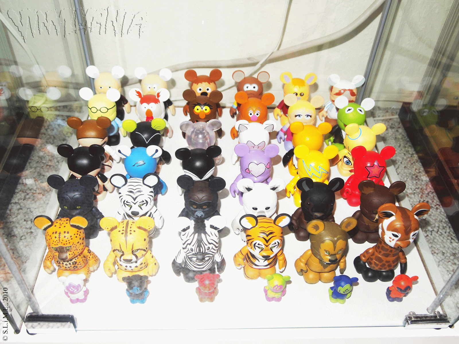 VinylMania: The Collection