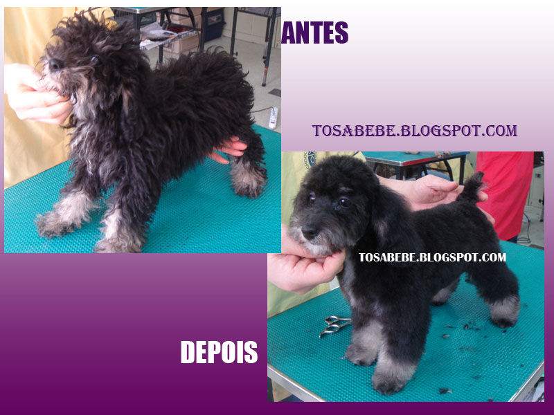 TOSA BEBÊ - TOSA VERÃO - TOSA TESOURA -TOSA PORTO ALEGRE: TOSA BEBÊ ...