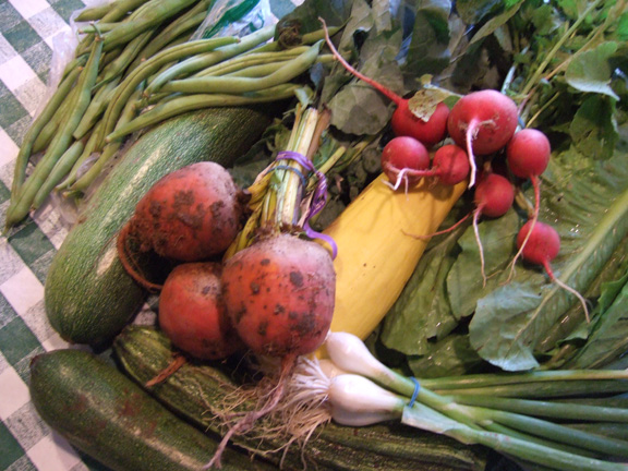 Albert's Sermon Illustrations: Gardening God's Way