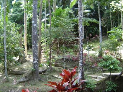 Malaysia-Mytrip: Hutan Lipur Bukit Wang