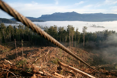 Upper Florentine news: Styx Cable Logging